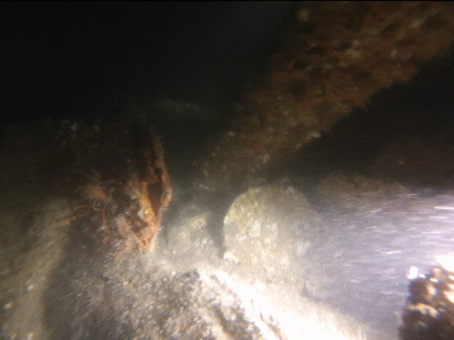 HMS Berkeley, destroyer L17 : - Site de frenchdiver-wim-csr