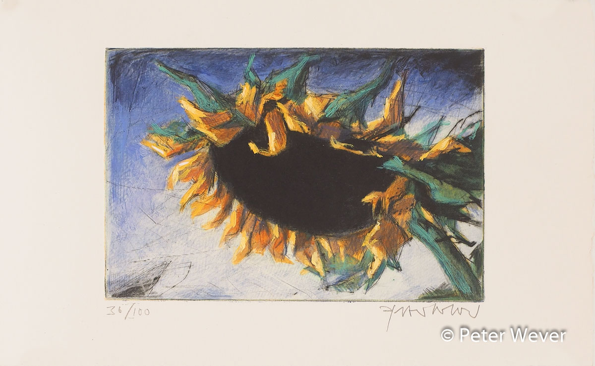 Peter Wever | Sonnenblume - Kunsthandlung Langheinz | Bilder und Rahmen
