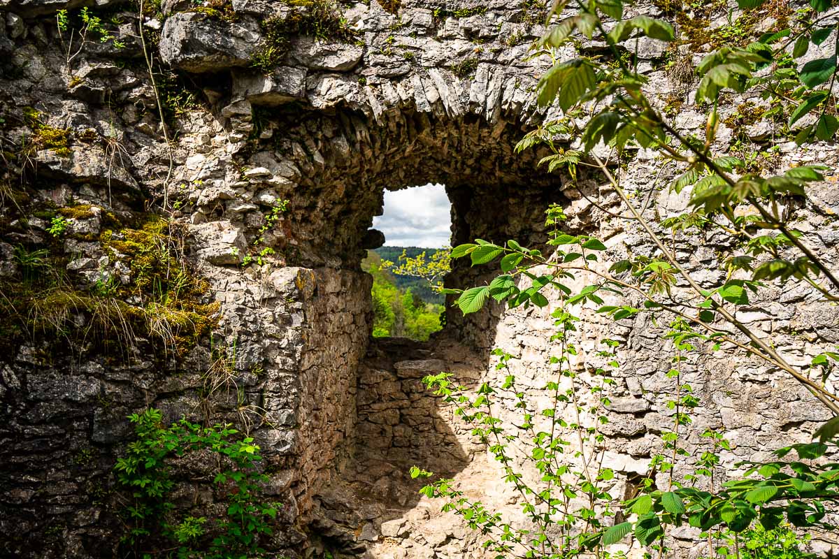 Burg Neideck - roasn
