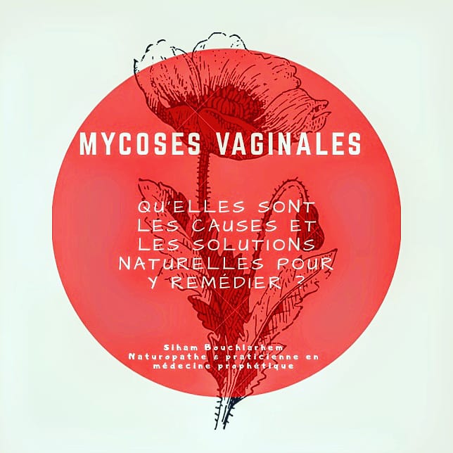 Mycoses vaginales qu'elles sont les causes et les solutions naturelles ...