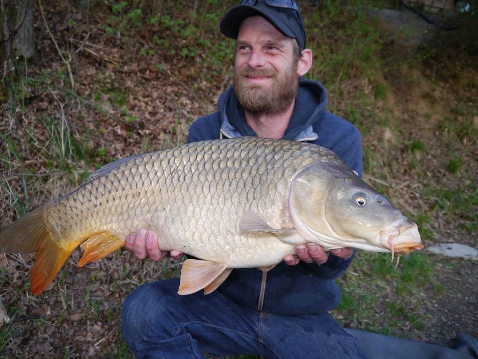 Friedfische - Website der Reiner Fischerrunde