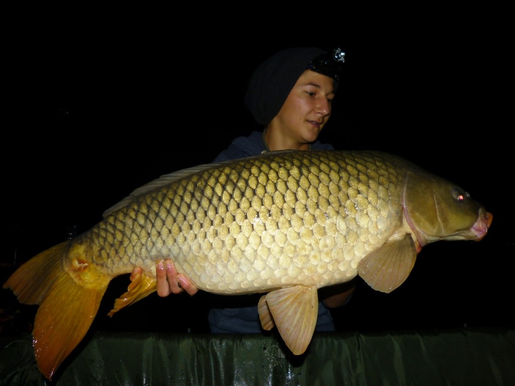 Friedfische - Website der Reiner Fischerrunde