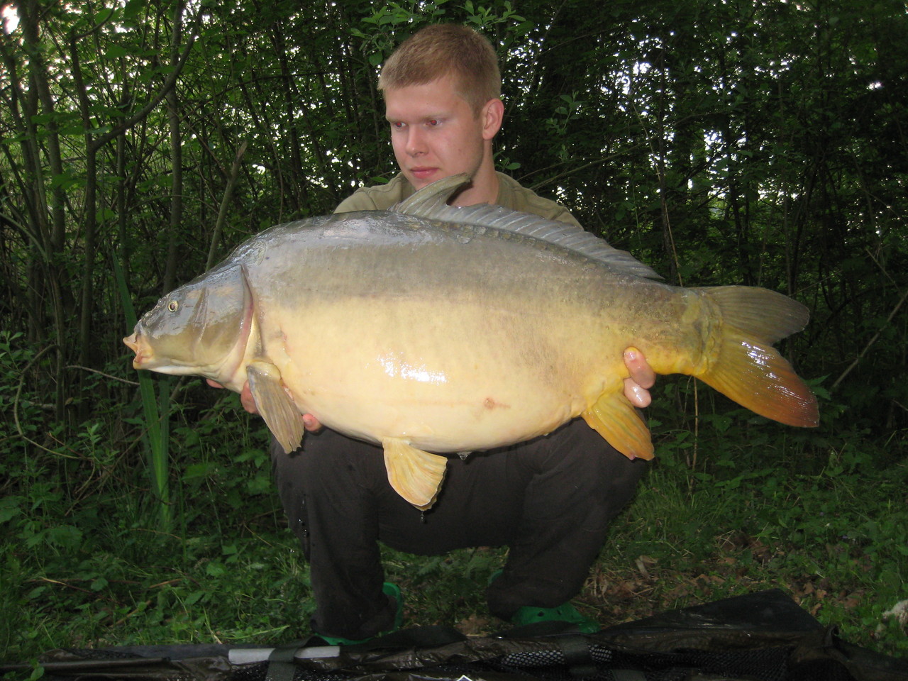Friedfische - Website der Reiner Fischerrunde