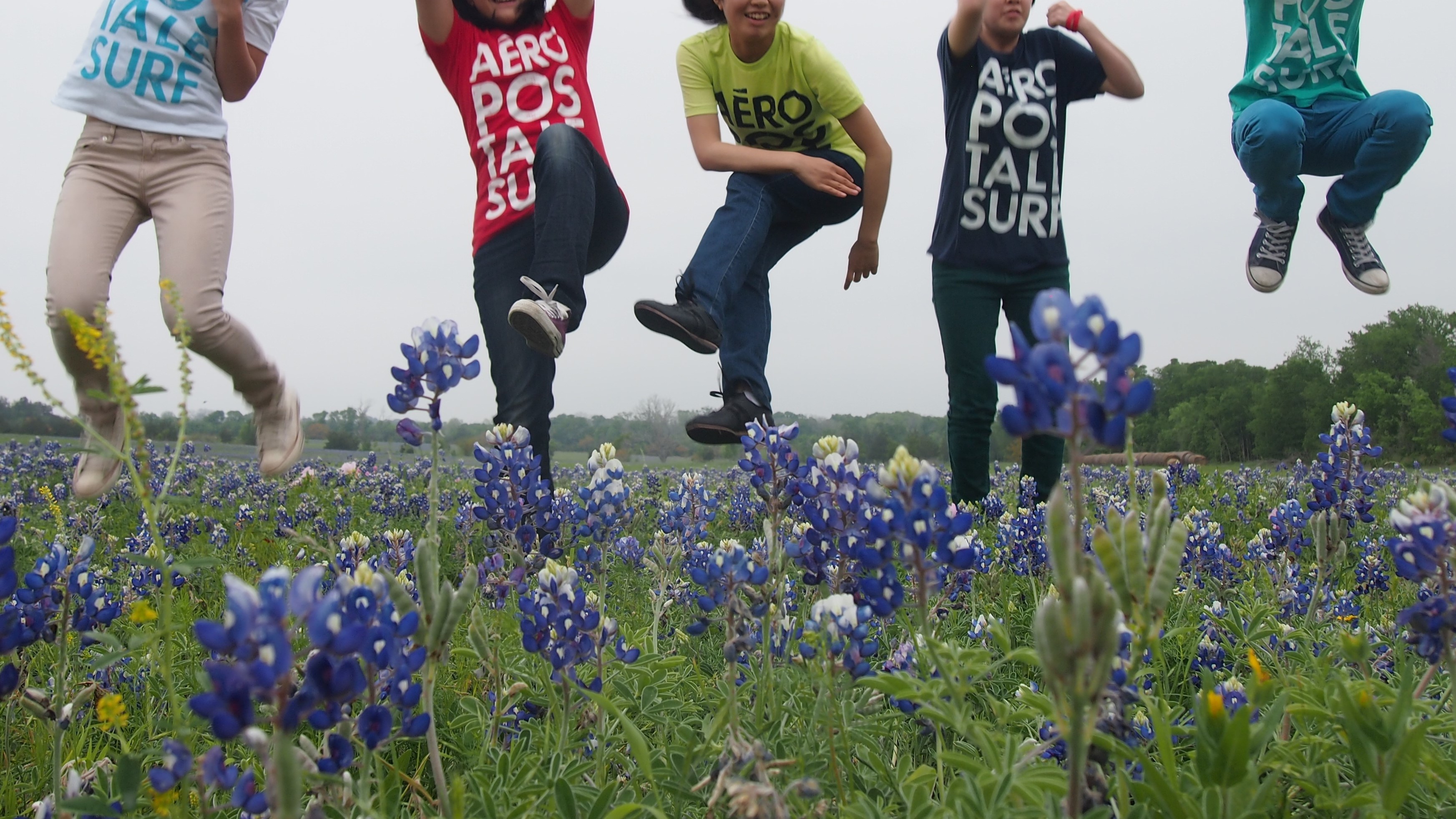 Camp De Edward -JAPAN - bluebonnet's JimdoPage!