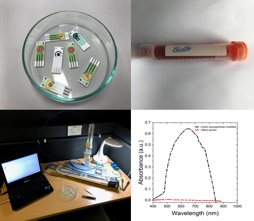 Optical detection by using Localised Surface Plasmon Resonance on Z&P ...