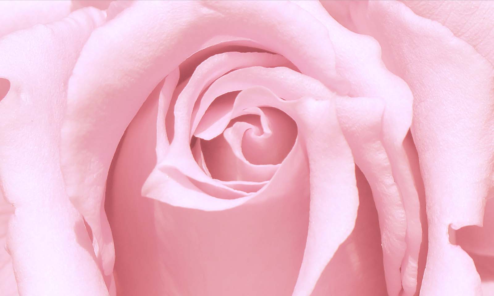 maple rose キャンドル教室 福岡市東区 - maplerose-candle ページ！