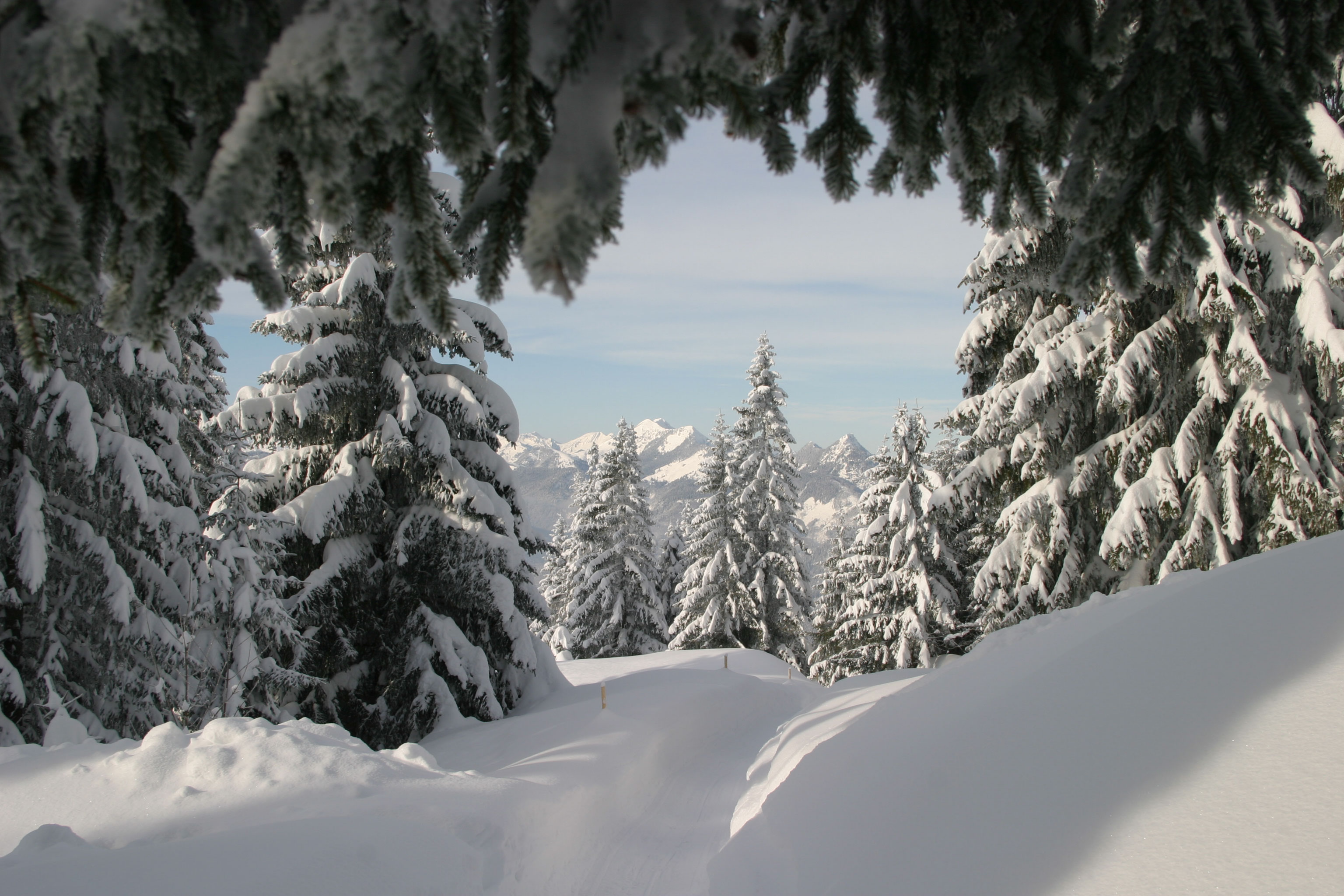 Wandern Hüttenwandern - Naturschutzgebiet Kaisergebirge in Tirol mit ...