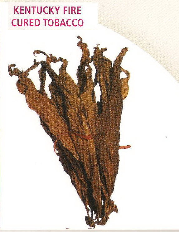 PRODUCTS (page 1) : FLUE CURED TOBACCO - italindos JimdoPage!