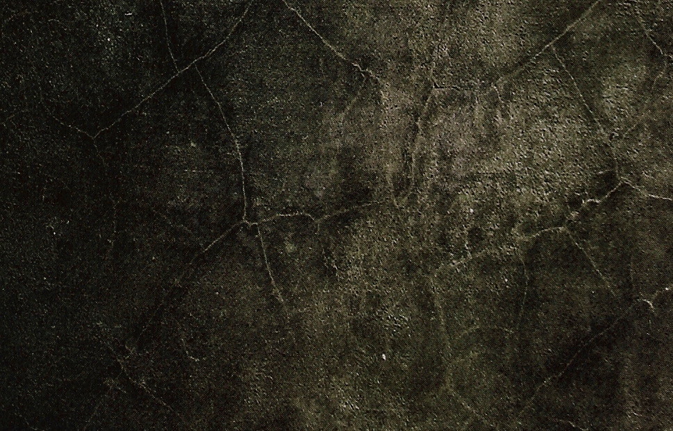 The Slated Trilogy & Prequel - Website of Teri Terry, author of YA ...