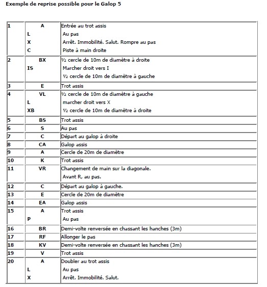 Reprise de dressage galop 5 - Site de fermeequestrelartigou