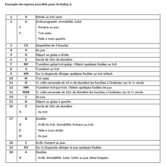 Reprise de dressage galop 6 - Site de fermeequestrelartigou