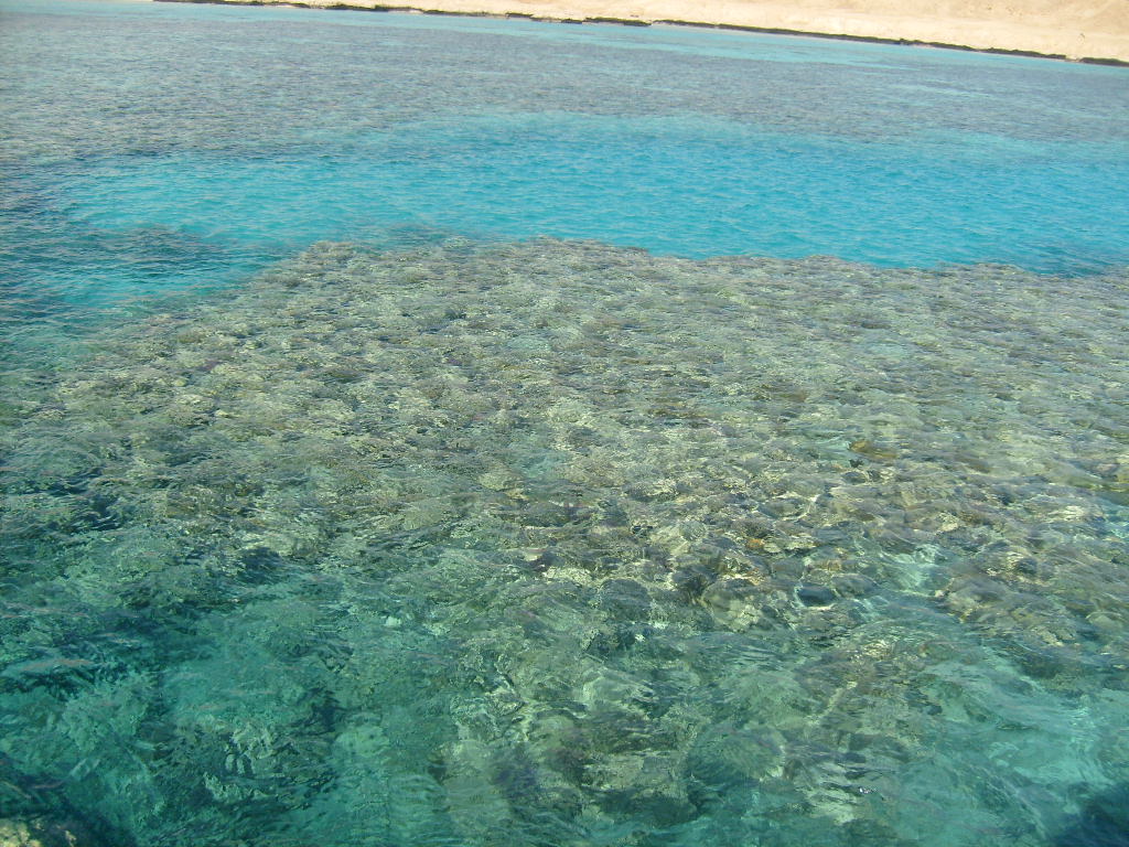 HURGHADA - Red Sea - hurghada red sea affitto appartamento jimdo page