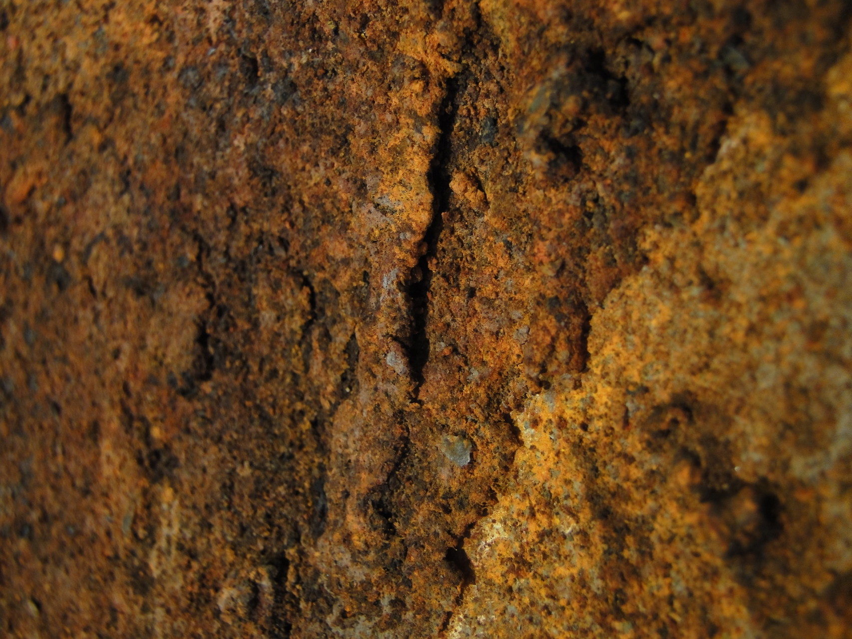 Mes expos - Christine Collard Artiste Peintre