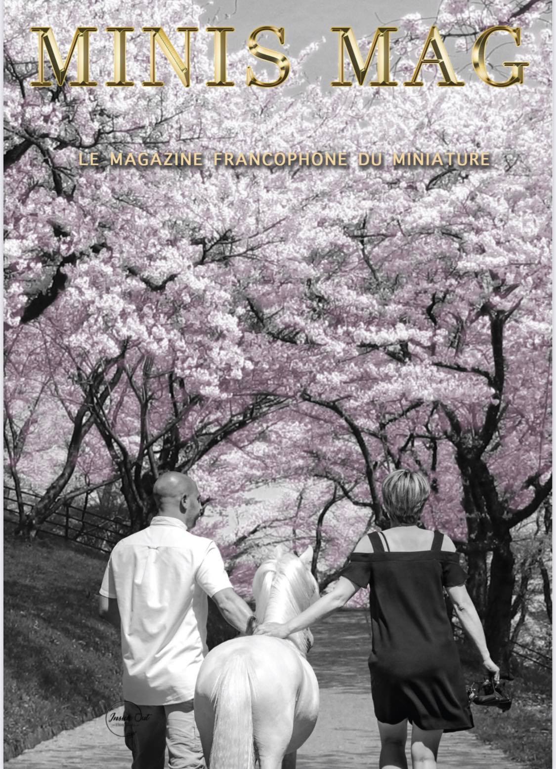 Minis mag - Site de funminius