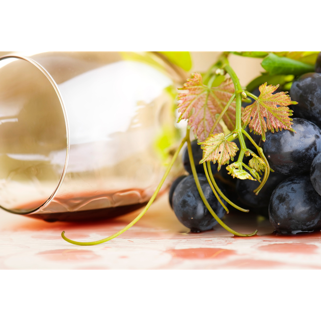 LOS PRINCIPALES DEFECTOS DEL VINO - costaricawineschool