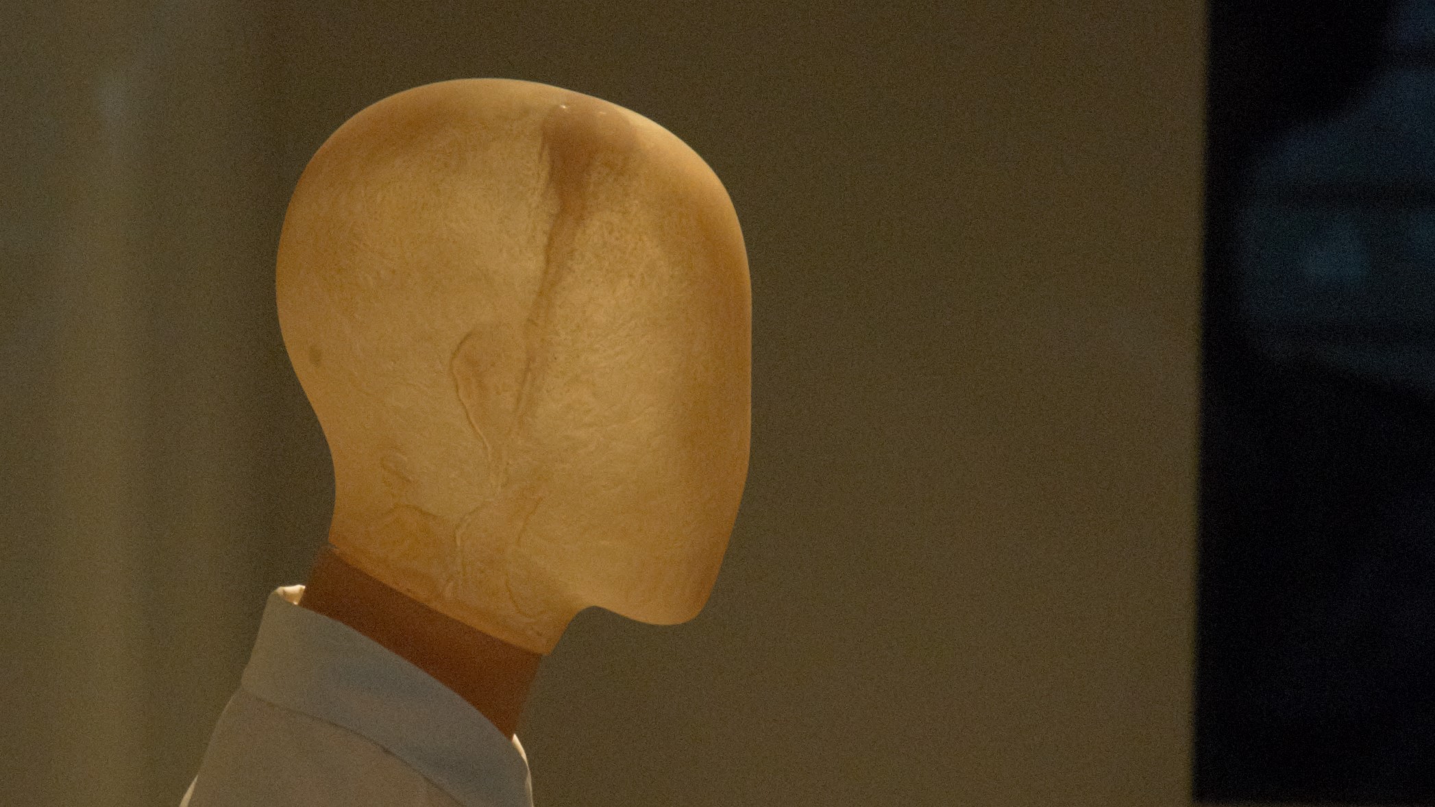 Venom Chic a novel - Eifion Evans - Venom Chic Eifion Evans