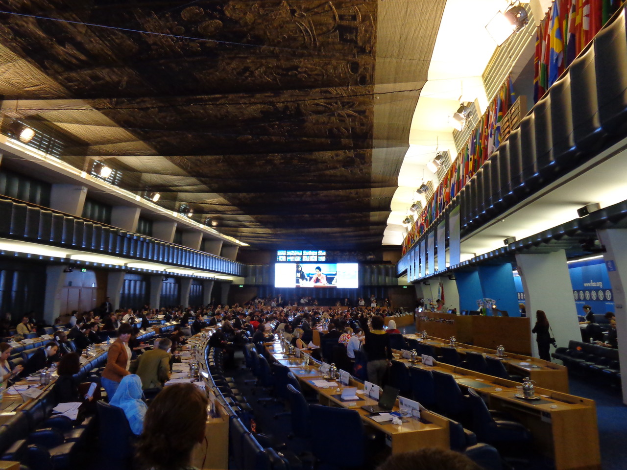 IAAS at FAO meeting in Rome - IAAS Germany