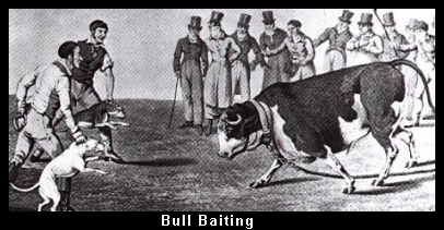 El apbt la historia - Página web de lazonapitbull