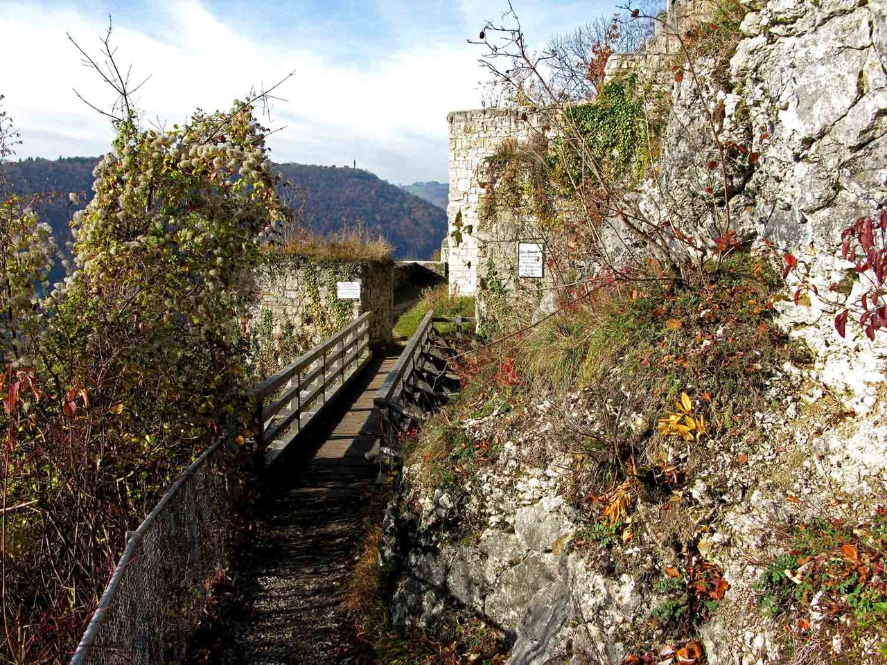 Burgruine Helfenstein - SchlossSpross