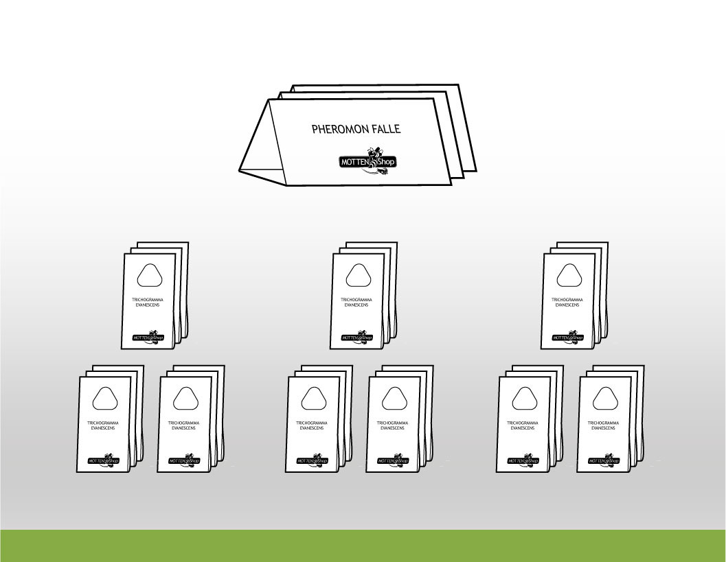 Sluipwespen online bestellen - Mottenshop