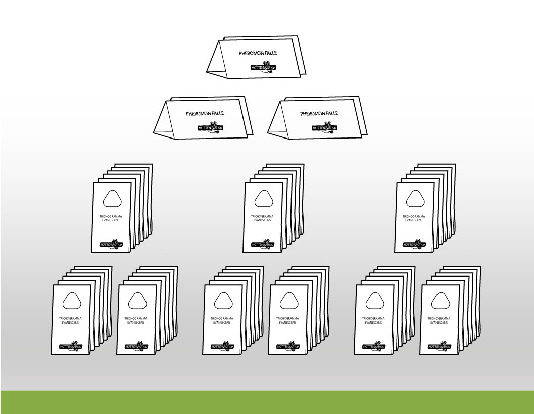 Sluipwespen online bestellen - Mottenshop