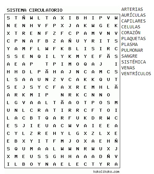 CIRCULACIÓN SISTÉMICA y pulmonar - Página web de mundoverdeazul