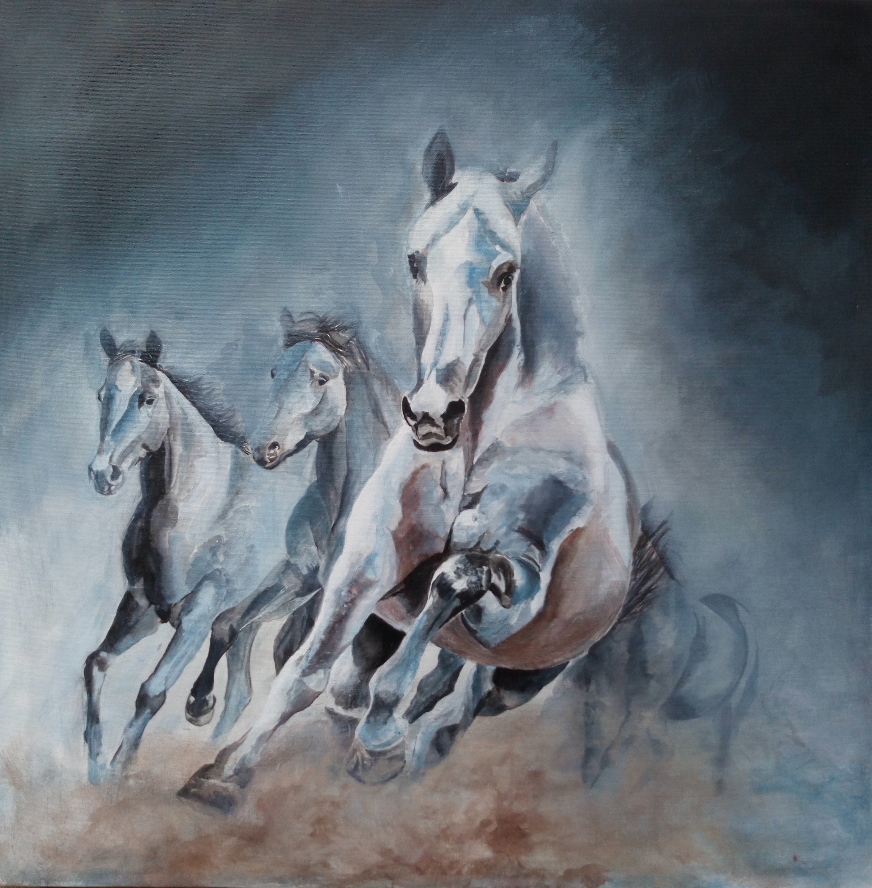 caterina pallotta - Benvenuti su caterinapallotta!