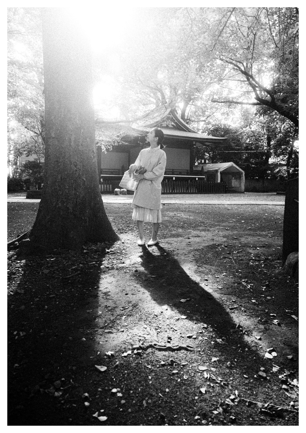 Azurina Gallery - azurina official web site