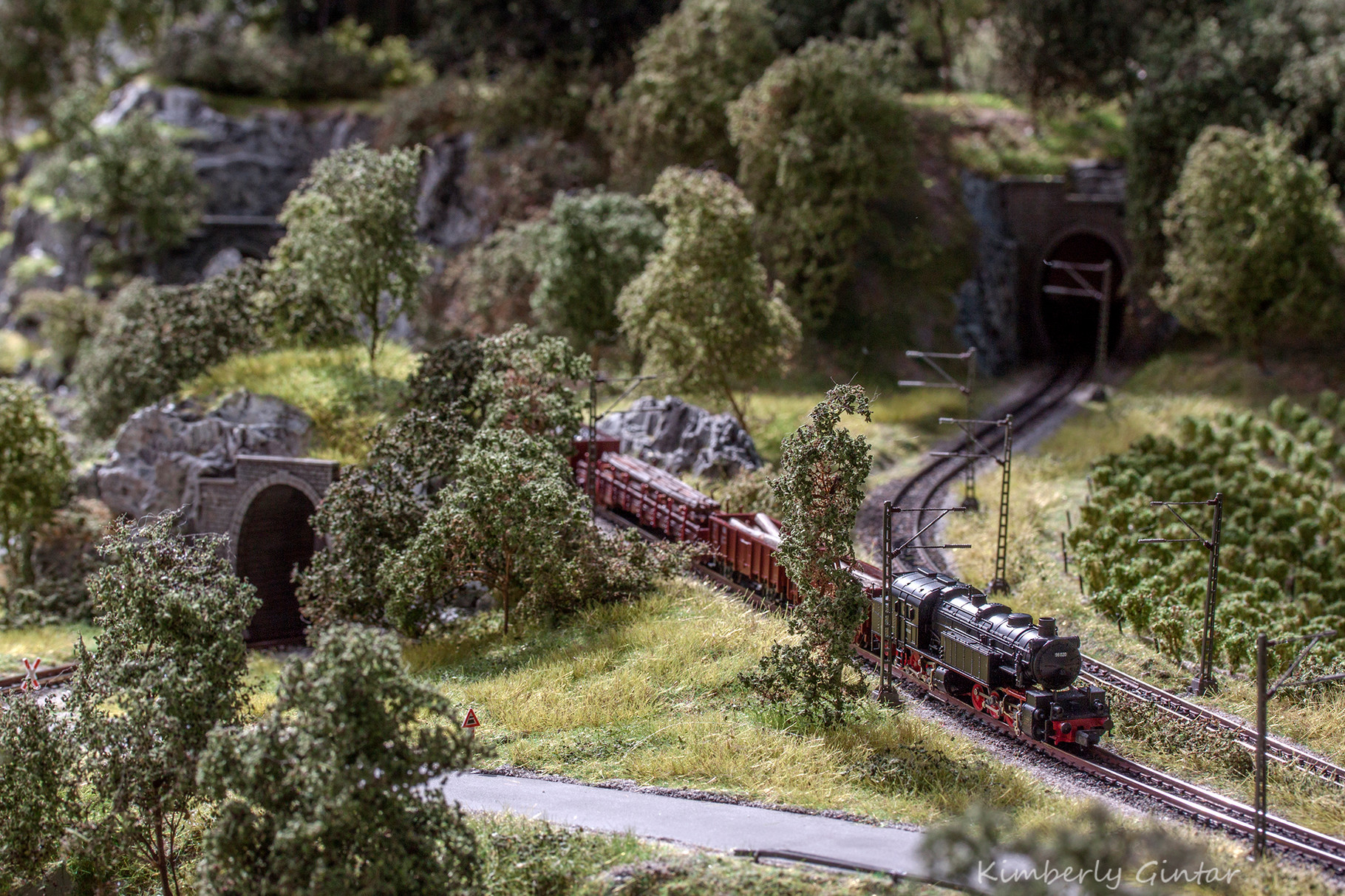 Landschaftsgestaltung Modellbaukunst - Uli Strauch-Spezialitäten aus ...