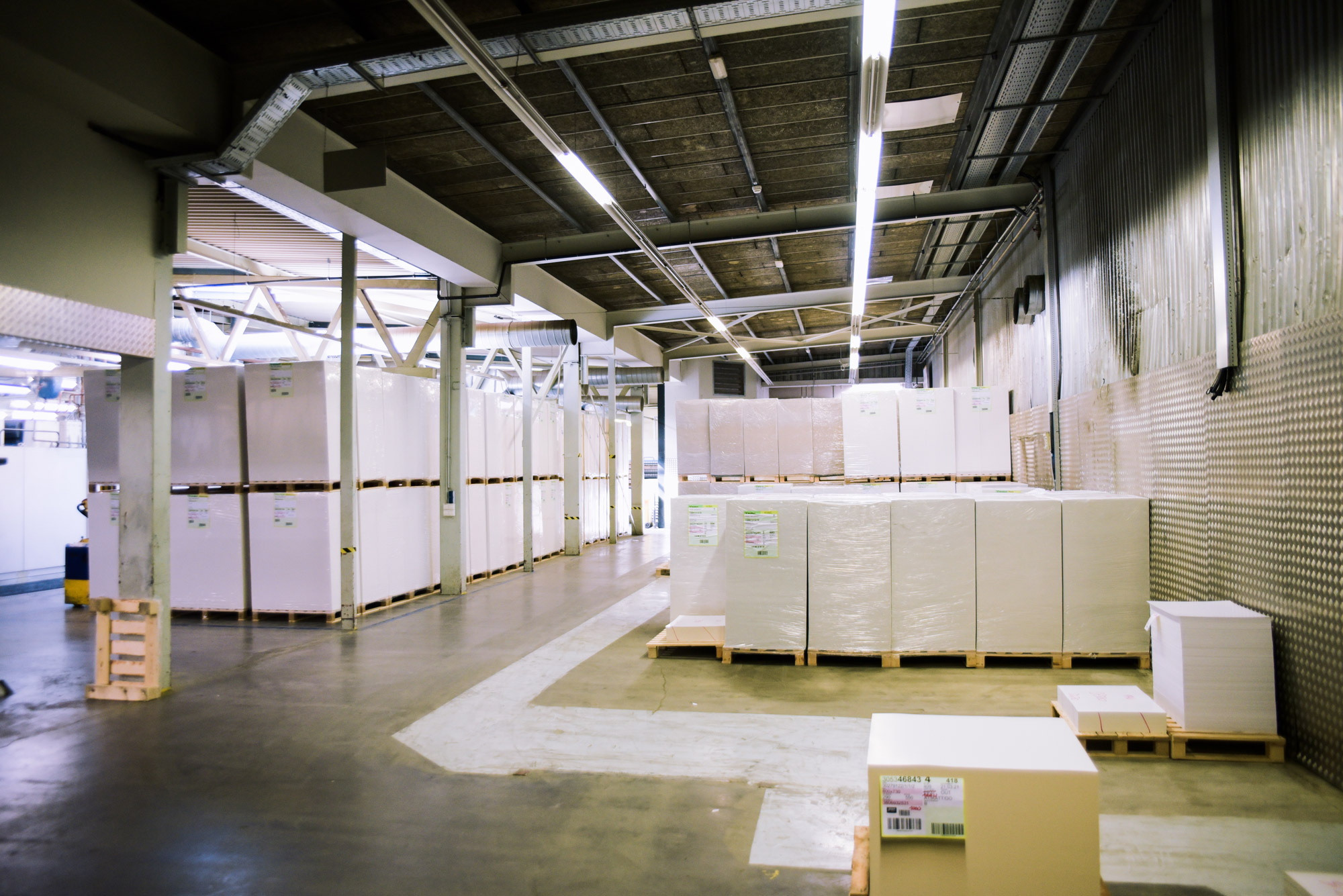 Contact - RATTPACK®