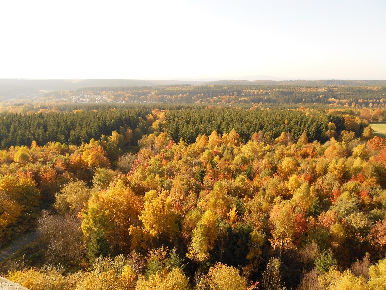 Lage & Anfahrt - Baumhaushotel Solling