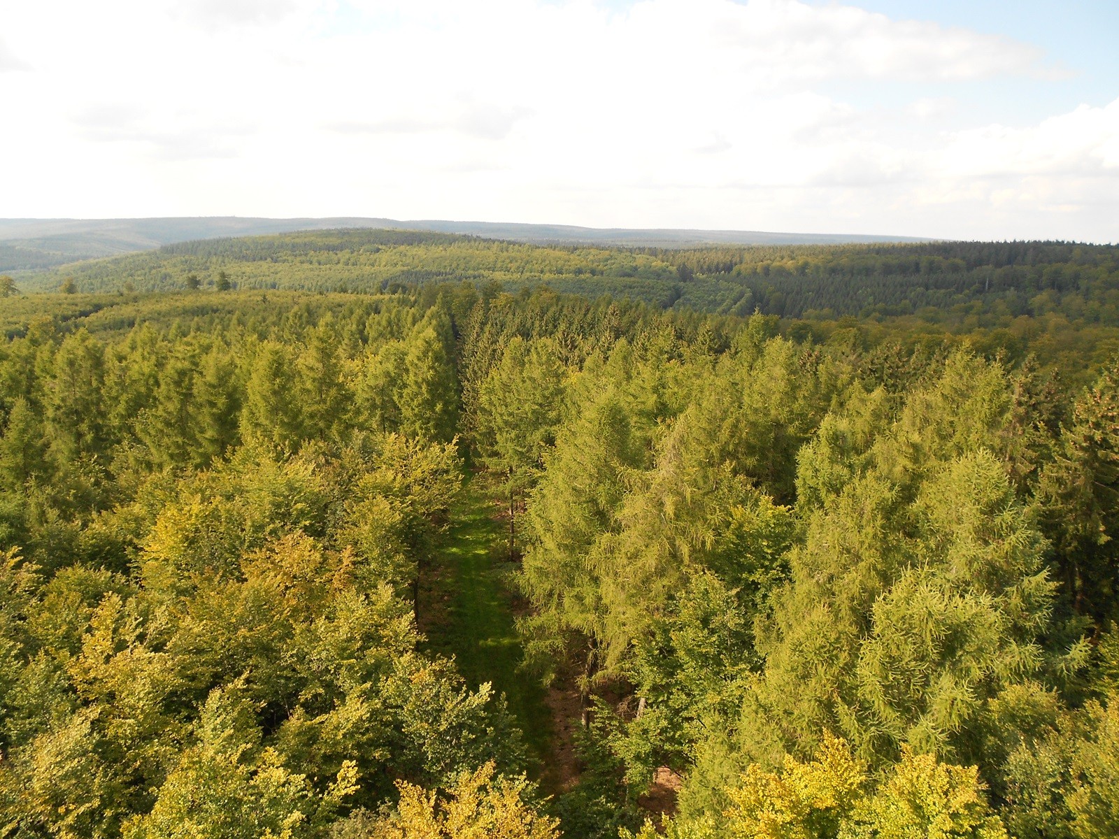 Lage & Anfahrt - Baumhaushotel Solling
