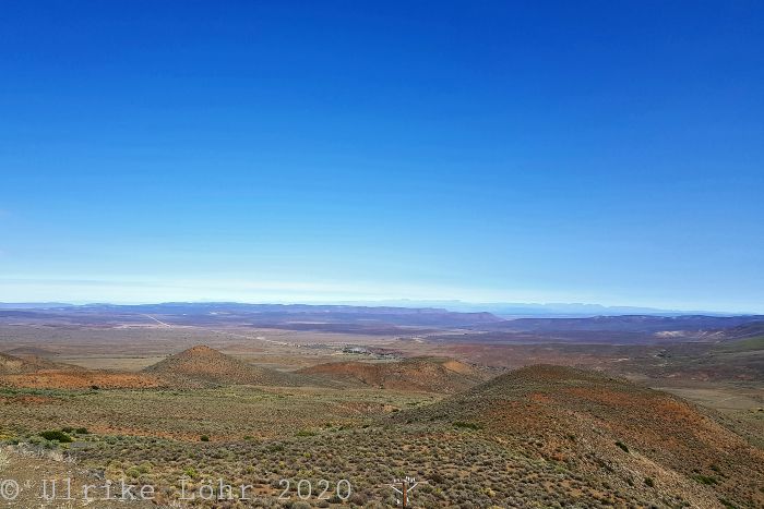 Südafrika Tankwa Karoo National Park - Zypresse unterwegs - Reiseblog ...