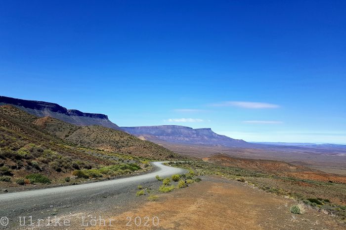 Südafrika Tankwa Karoo National Park - Zypresse unterwegs - Reiseblog ...