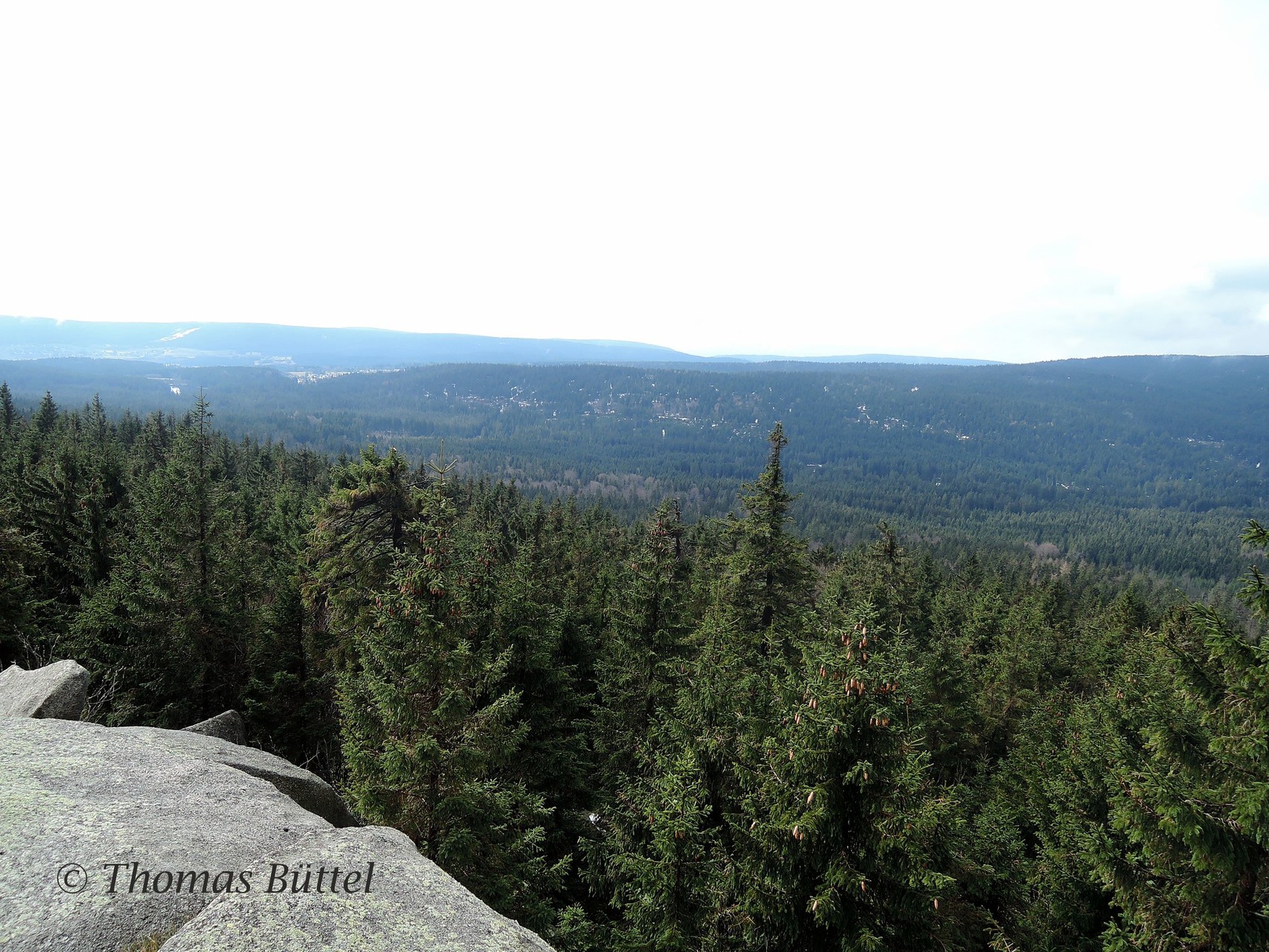 Birding Wonders of Franconia's Far East - Birding Franconia