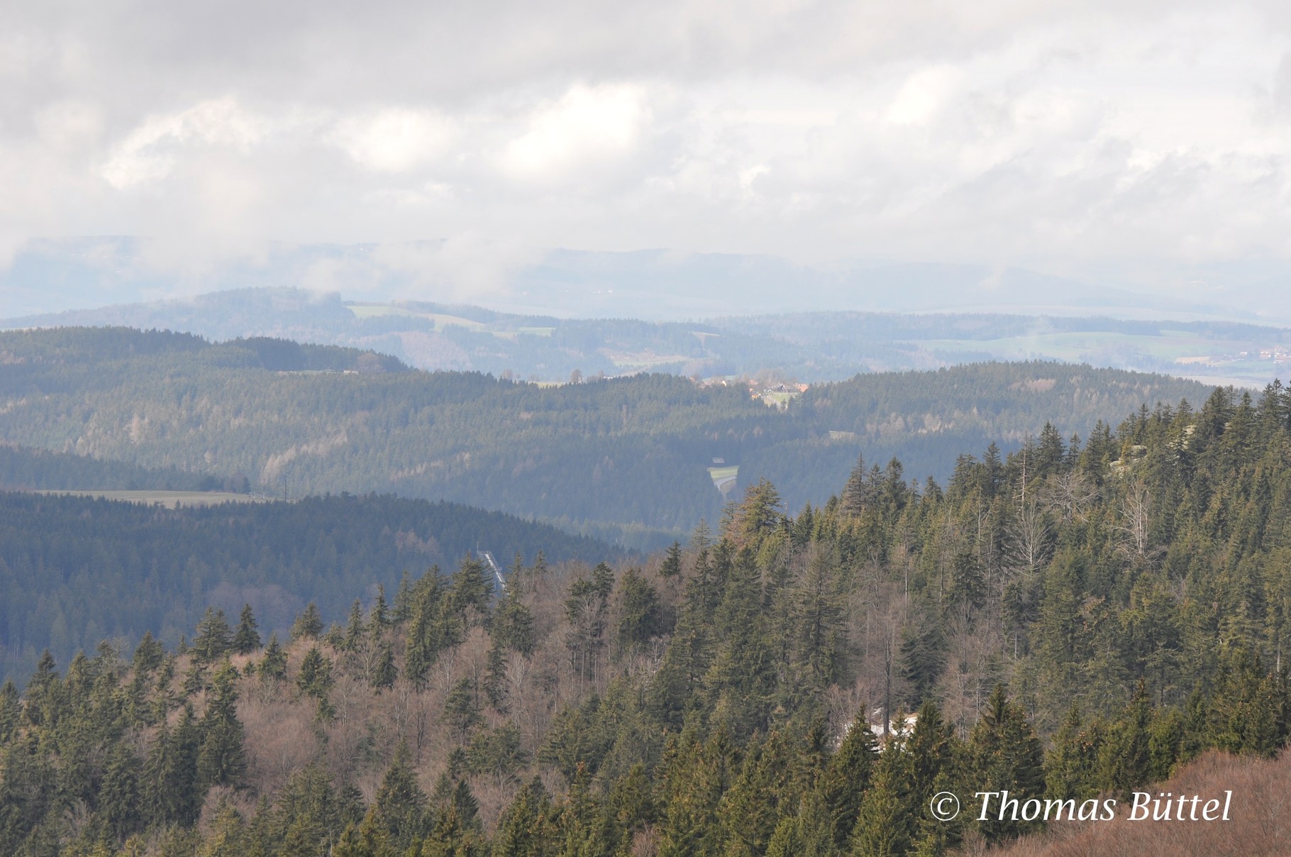 Birding Wonders of Franconia's Far East - Birding Franconia