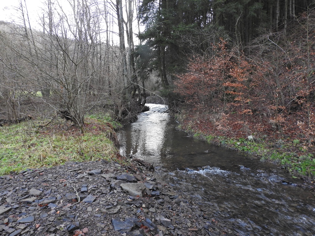 Schutzgebiet “Am Alten Baeth” - nabu-euskirchens Webseite!