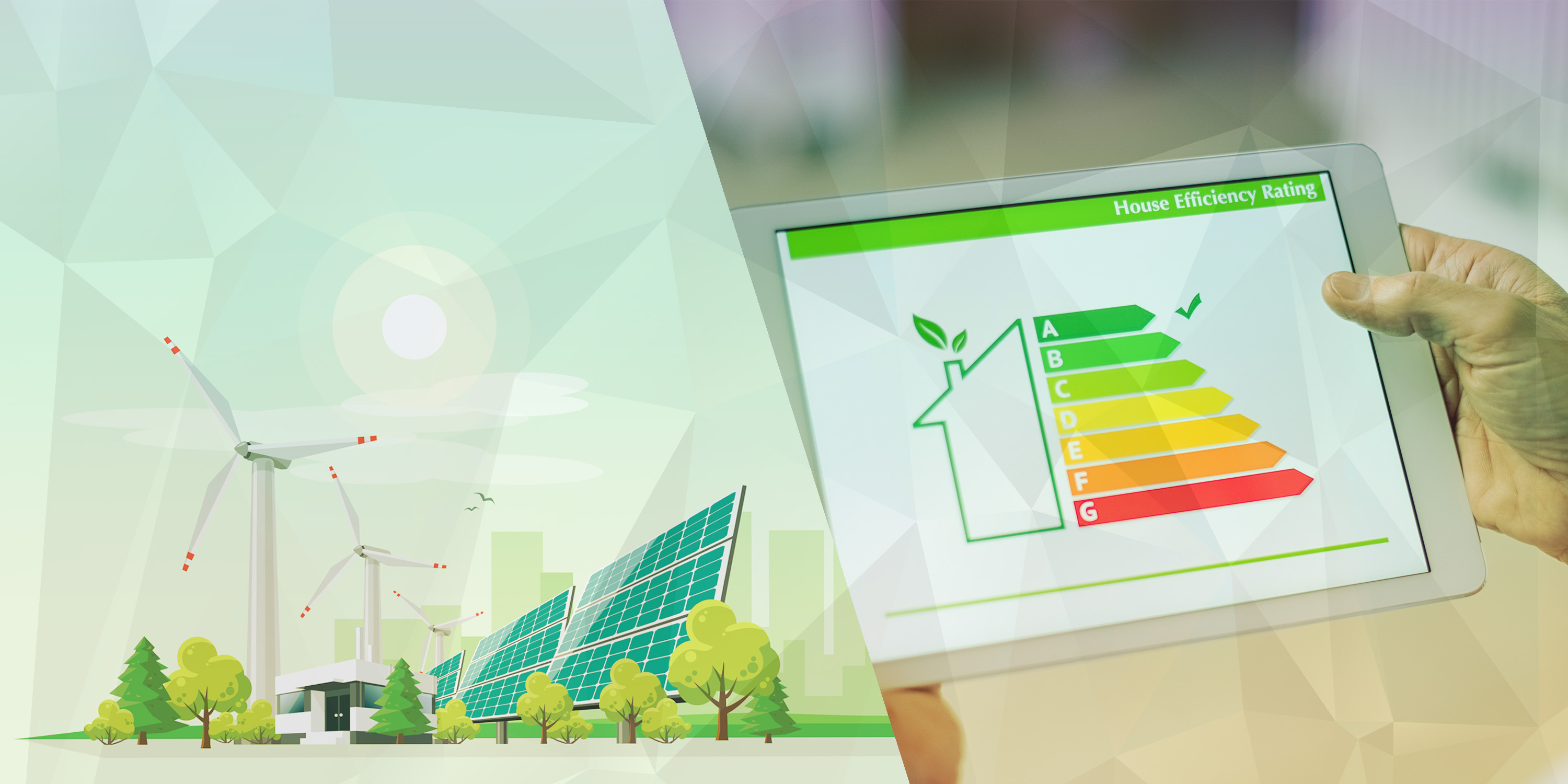 Local Offset Projects - CarbonBuddy