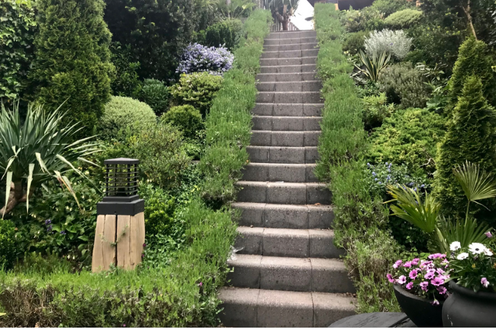 Binnenkijken in een tuin met vaste groenblijvende planten ...