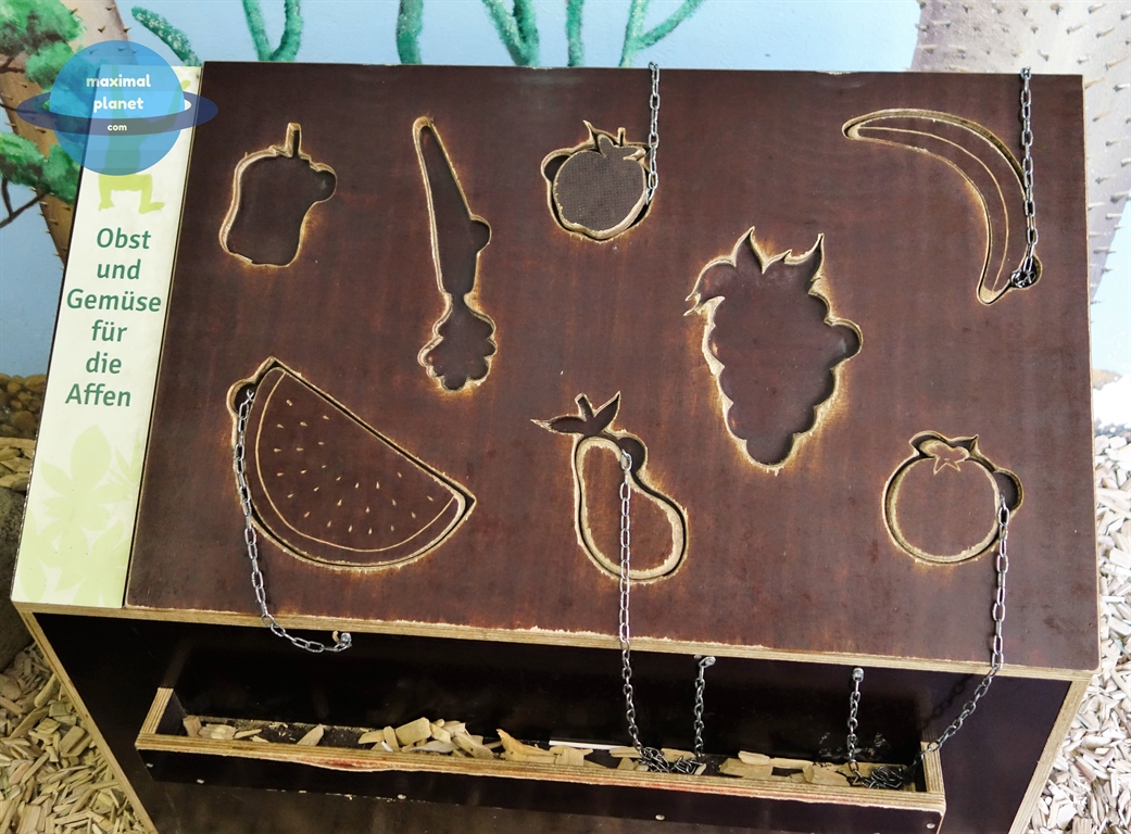 Zoologischer Stadtgarten Karlsruhe - vielfältiges Idyll im Herzen der ...