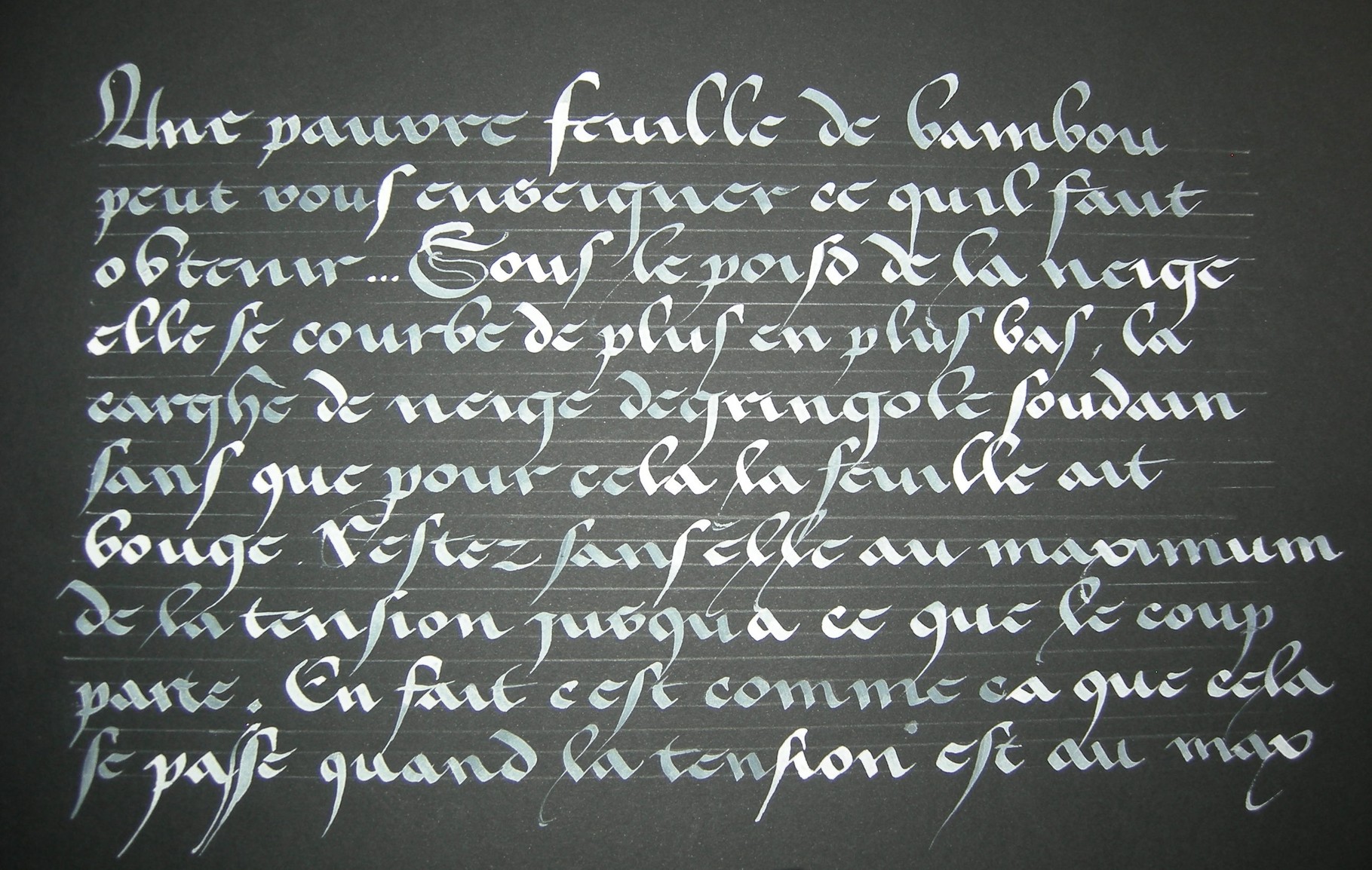 CALLIGRAPHIES MEDIEVALES - Enluminure Or et Caractères