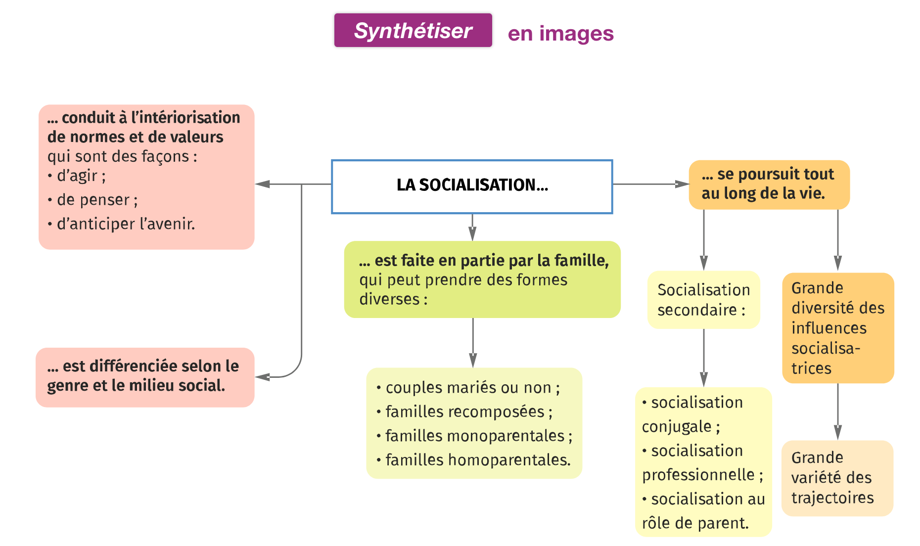 La Socialisation Différenciée Selon Le Genre
