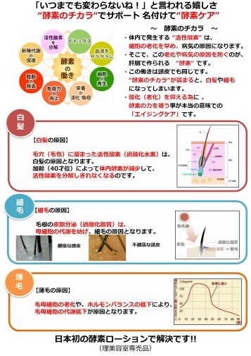店内POP（商品販売用） - labo-ibc ページ！