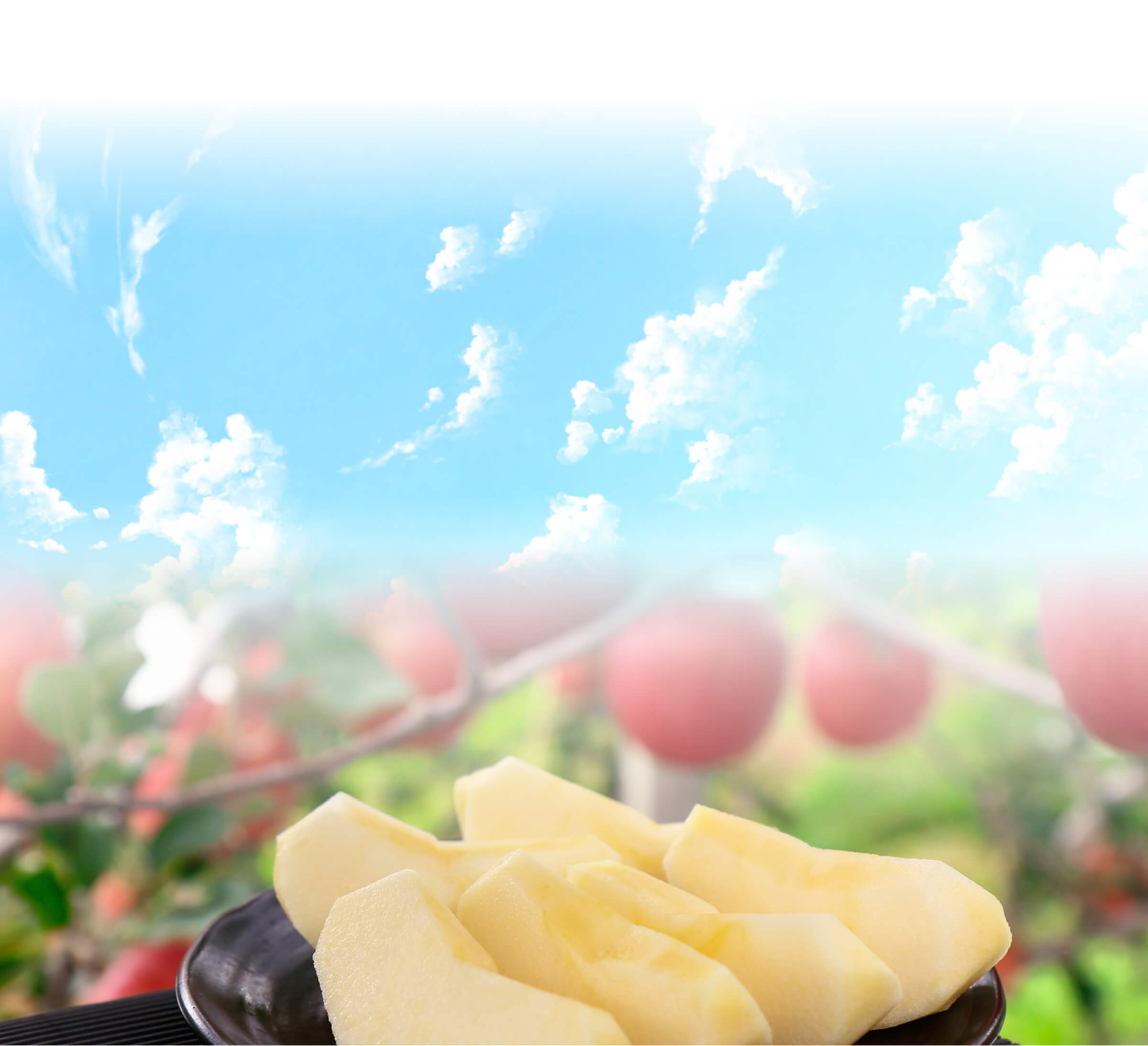 ABE果樹園｜オンラインショップ - 株式会社ABE Fruit（ABE果樹園）オフィシャルサイト