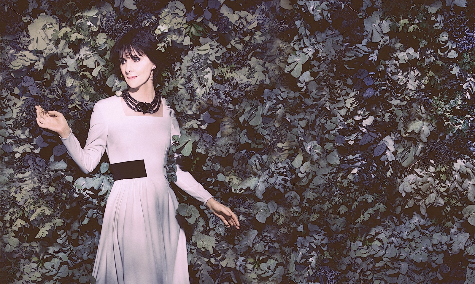 Pale Grass Blue - Enya Music