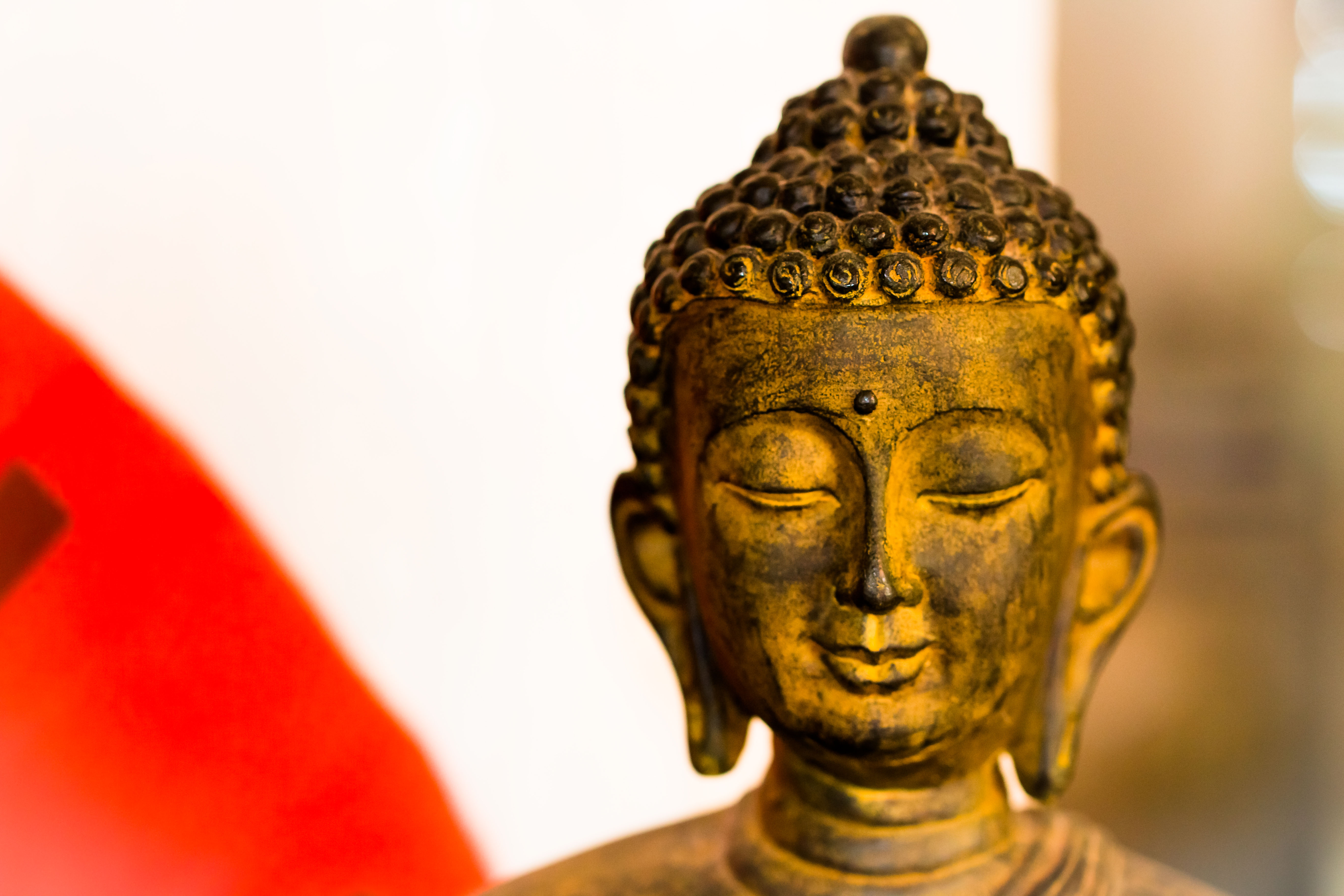 Senlin-Taiji - 森林太极 - Senlin-Taiji