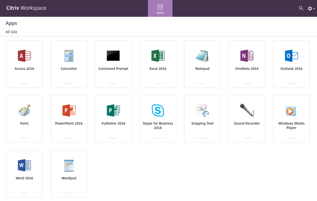 Citrix - Store du software