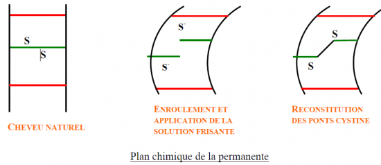 Les principaux composants des réducteurs - Site de bvcoiftec