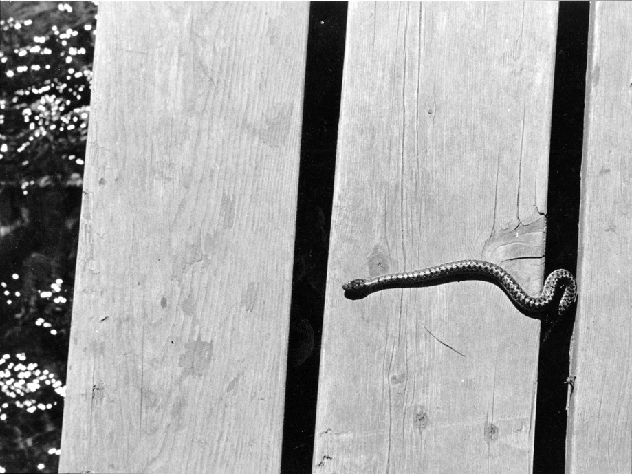 Photography - kevinthiessen's JimdoPage!