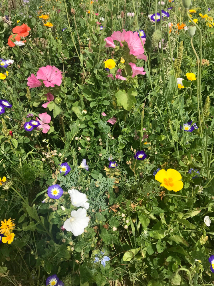 Beppo Strassenkehrer - christinaundroberts Webseite!